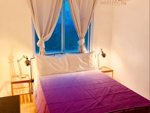 1 bedroom flat share to rent