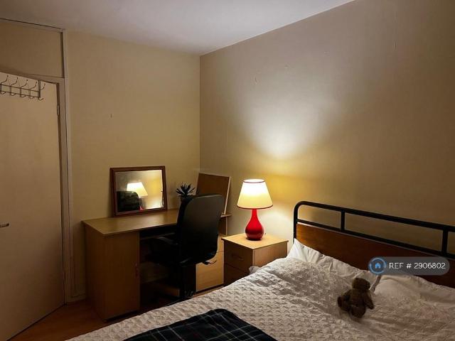 1 bedroom flat share to rent