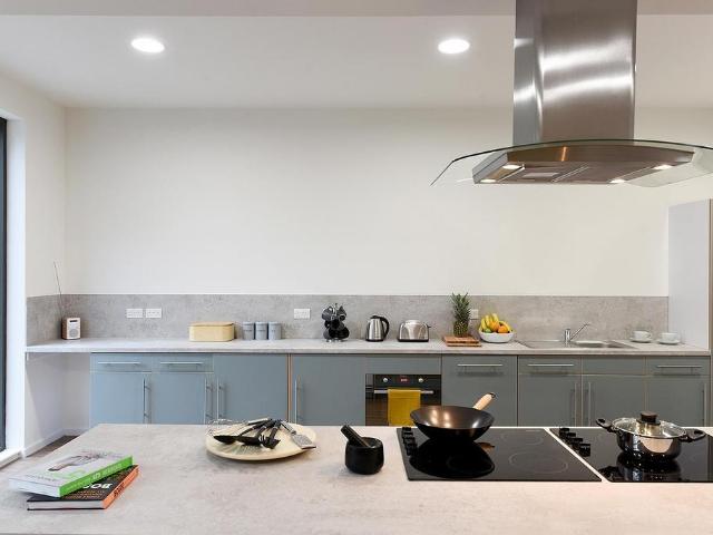 1 bedroom flat share to rent