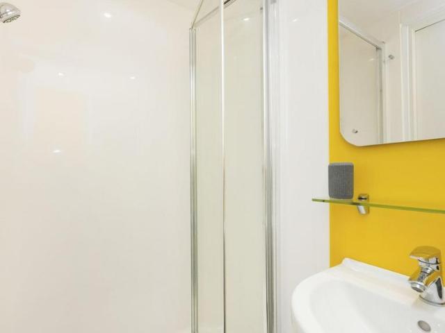 1 bedroom flat share to rent