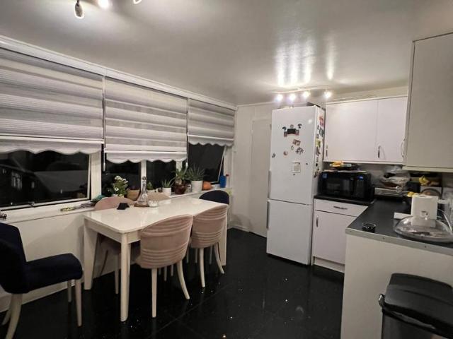 1 bedroom flat share to rent
