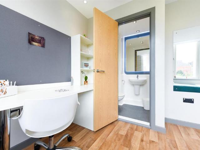 1 bedroom flat share to rent