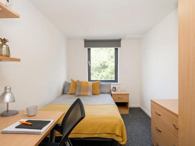 1 bedroom flat share to rent