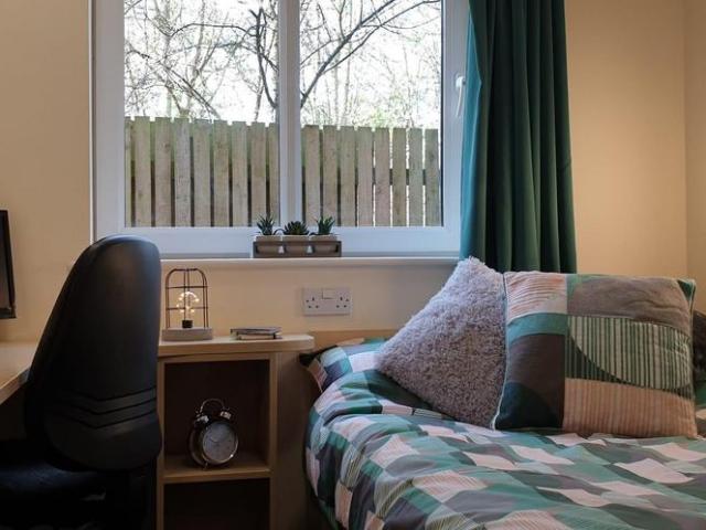 1 bedroom flat share to rent