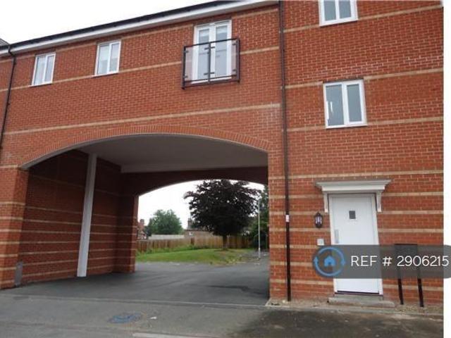 1 bedroom flat share to rent