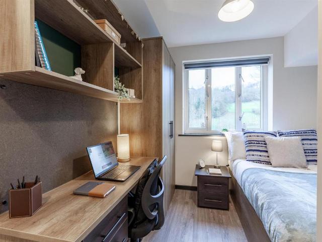 1 bedroom flat share to rent