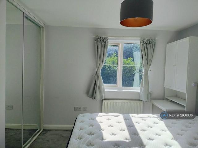 1 bedroom flat share to rent