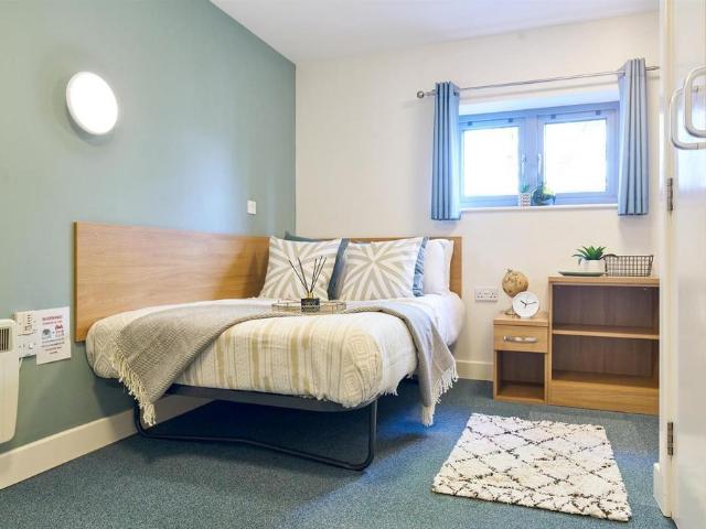 1 bedroom flat share to rent