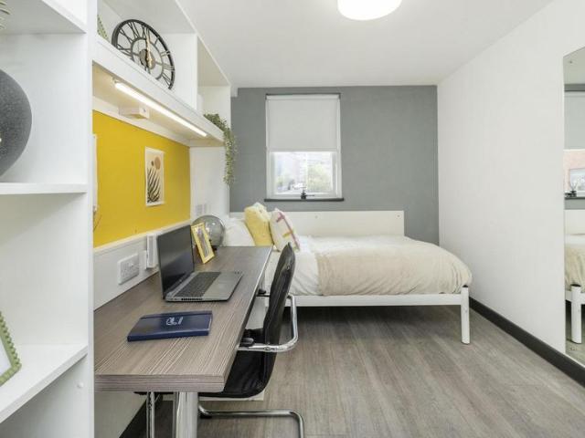 1 bedroom flat share to rent