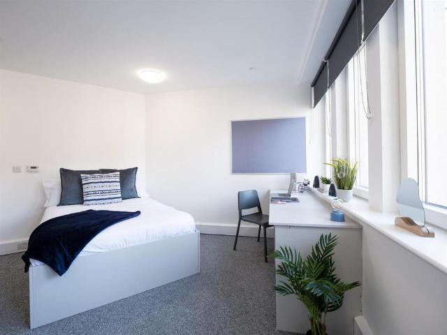1 bedroom flat share to rent
