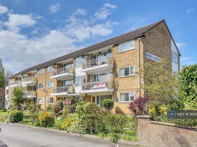1 bedroom flat share to rent