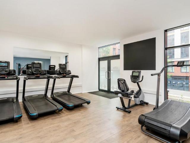 1 bedroom flat share to rent