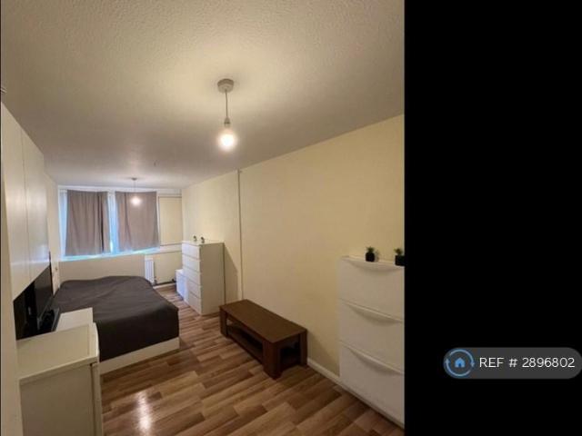 1 bedroom flat share to rent