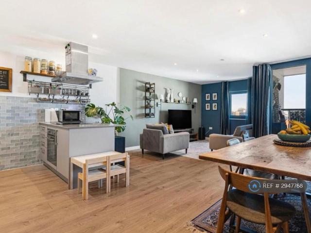 1 bedroom flat share to rent