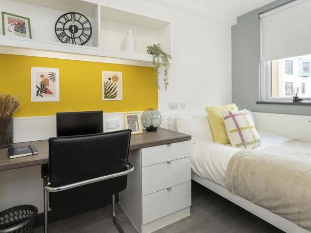 1 bedroom flat share to rent