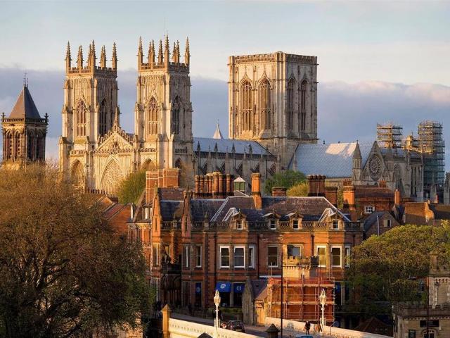 1 bedroom flat share to rent