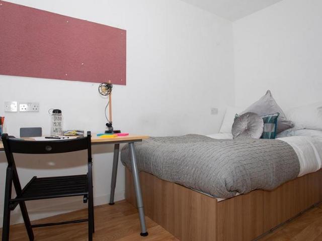 1 bedroom flat share to rent