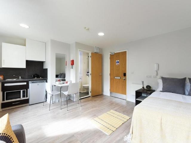 1 bedroom flat share to rent