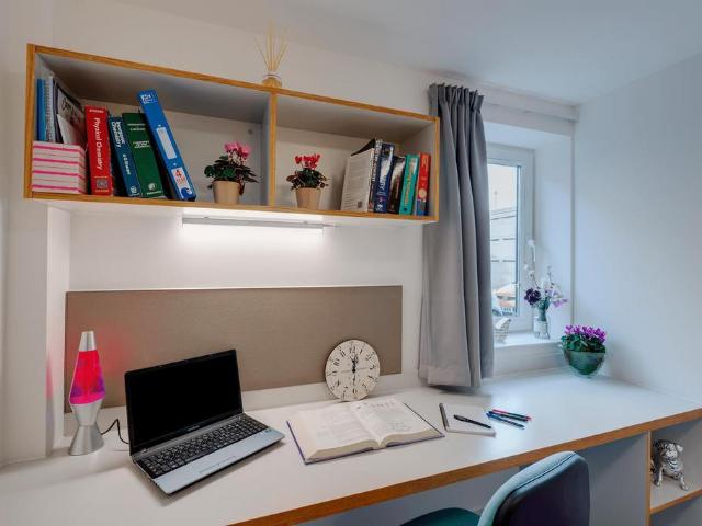 1 bedroom flat share to rent