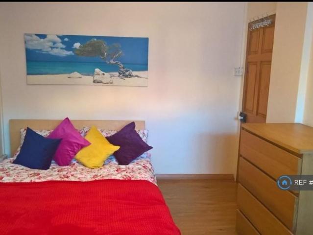 1 bedroom flat share to rent