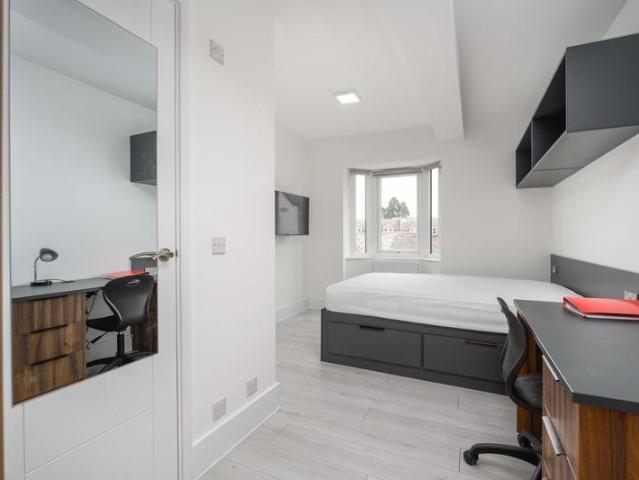 1 bedroom flat share to rent