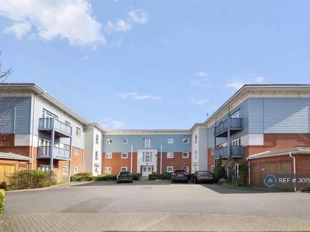 1 bedroom flat share to rent