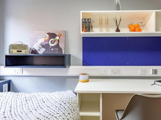 1 bedroom flat share to rent