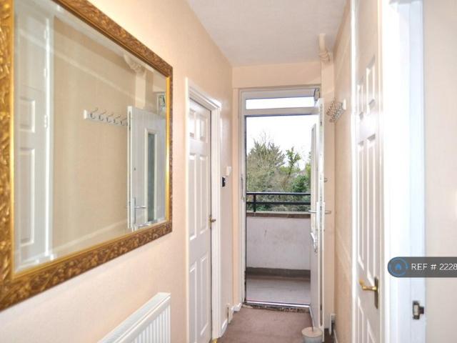 1 bedroom flat share to rent