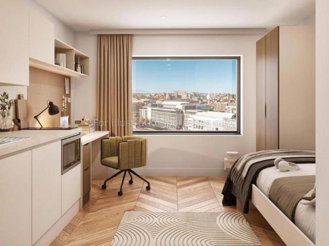 1 bedroom flat share to rent