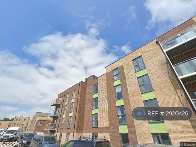 1 bedroom flat share to rent