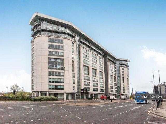 1 bedroom flat share to rent