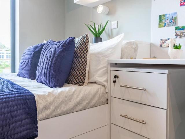 1 bedroom flat share to rent