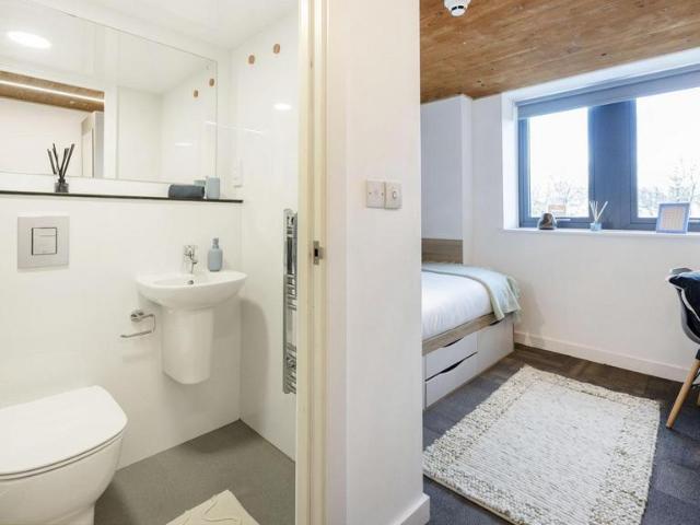 1 bedroom flat share to rent