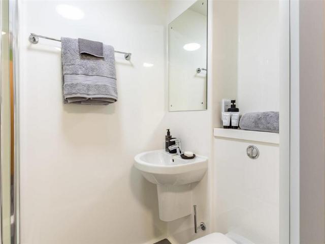 1 bedroom flat share to rent
