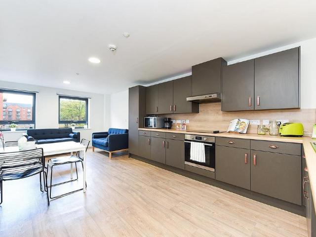 1 bedroom flat share to rent