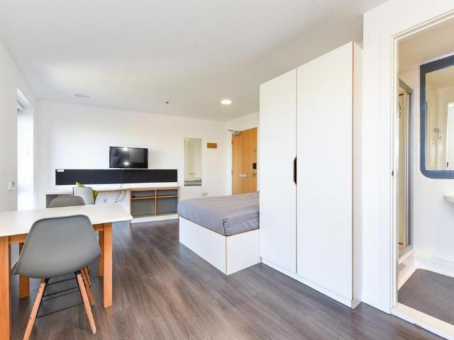 1 bedroom flat share to rent