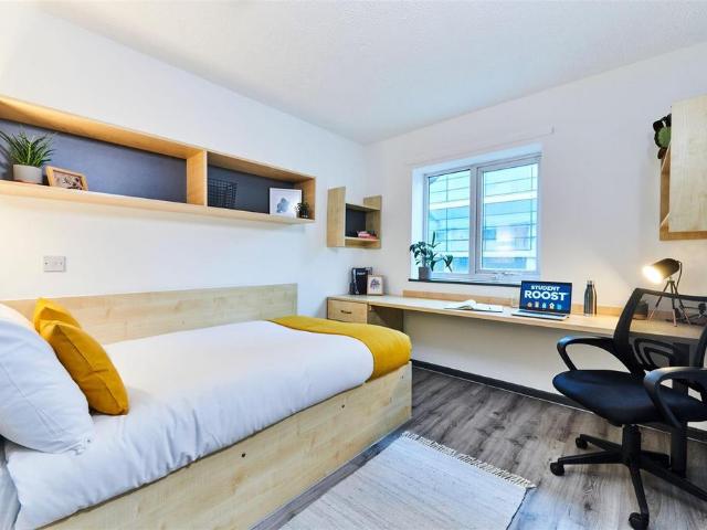 1 bedroom flat share to rent