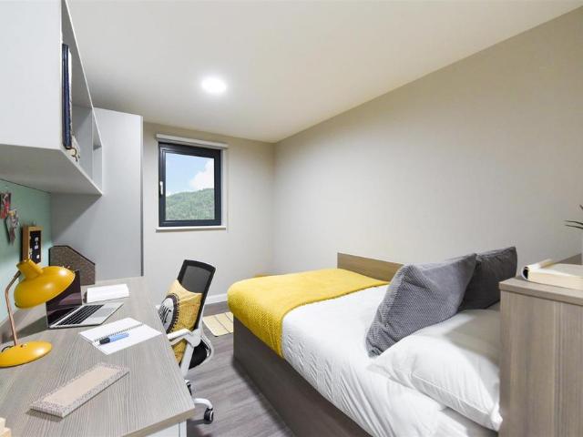 1 bedroom flat share to rent