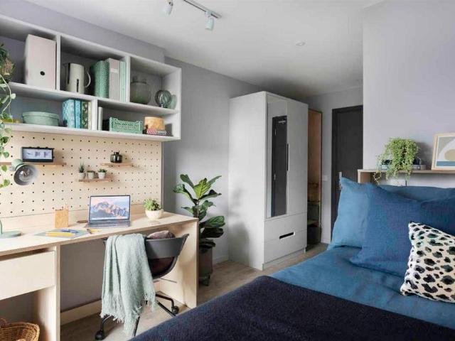 1 bedroom flat share to rent