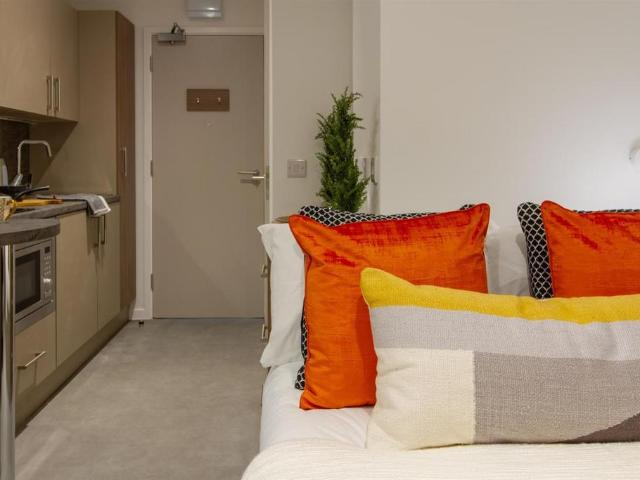 1 bedroom flat share to rent