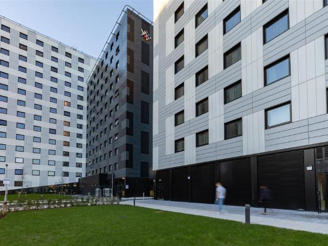 1 bedroom flat share to rent