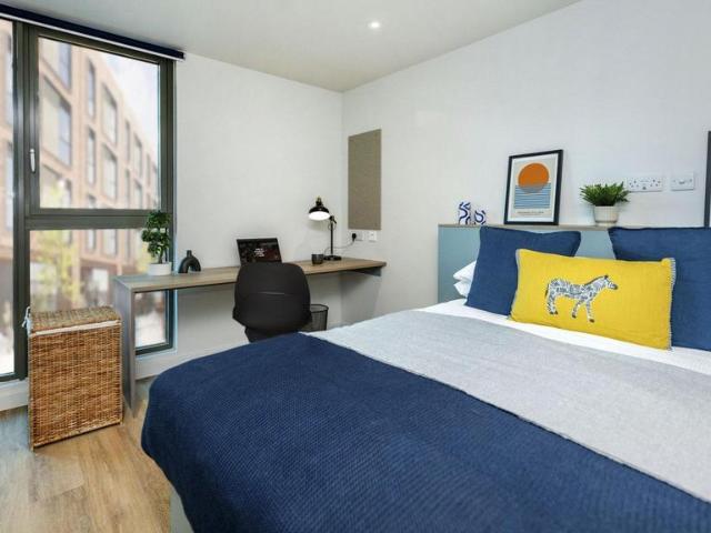 1 bedroom flat share to rent
