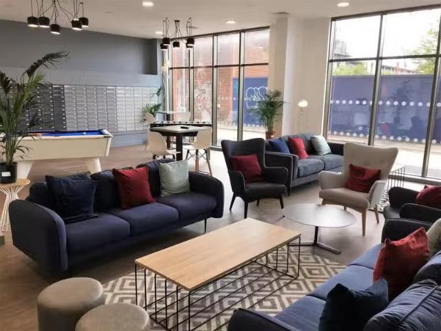 1 bedroom flat share for rent in Belfast Student September.