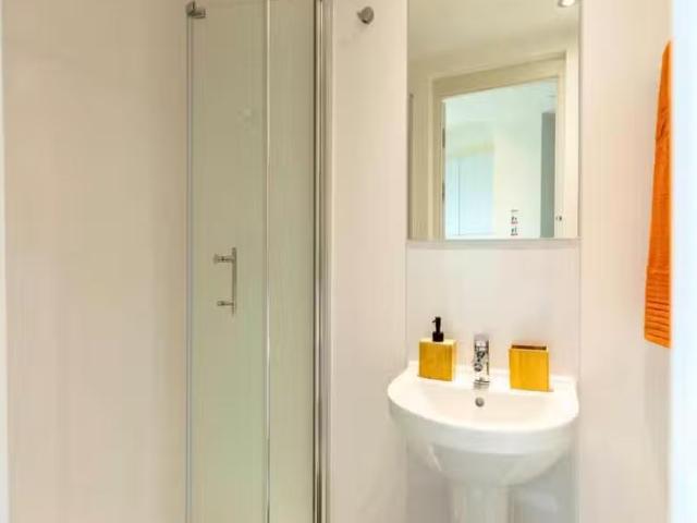 1 bedroom flat share for rent in Birmingham Student Septembe.