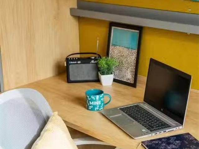 1 bedroom flat share for rent in Bristol Student September.