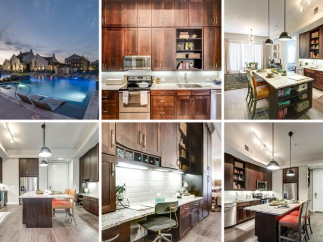 1 bedroom, Frisco TX 75034 77110126