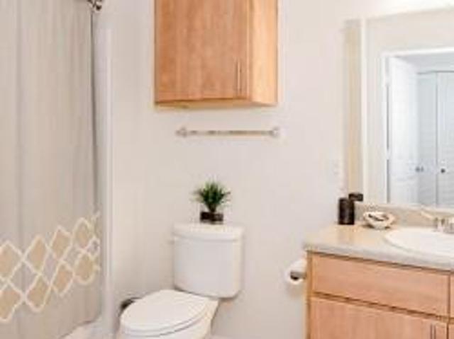 1 bedroom, Katy TX 77494 34406786
