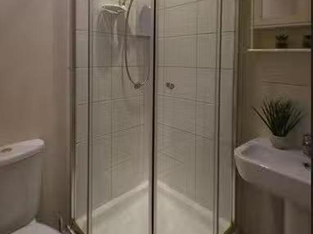 1 bedroom house of multiple occupation for rent in Francis Str.