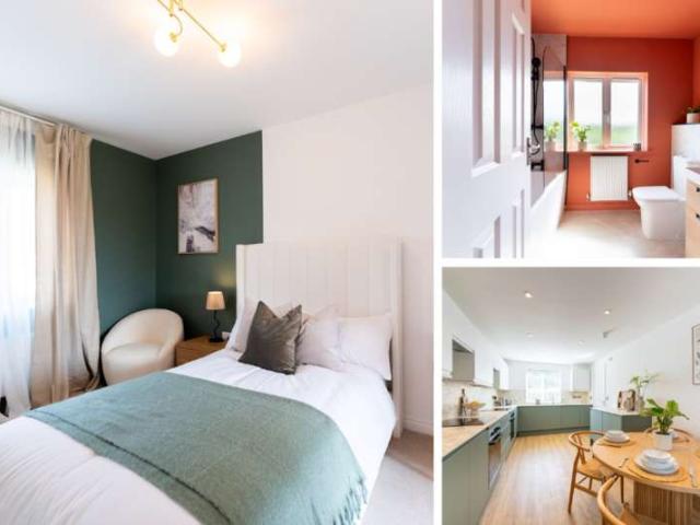 1 Bedroom House Share