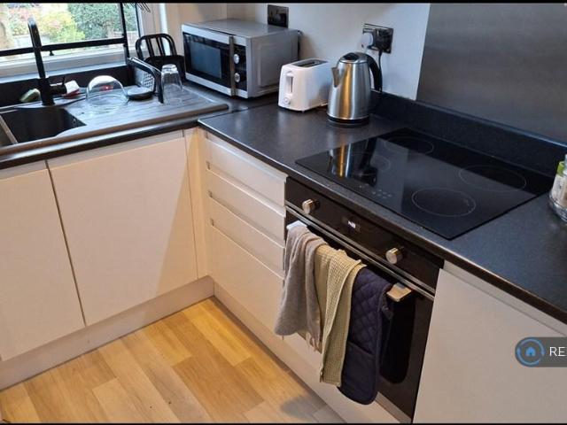 1 bedroom house share to rent